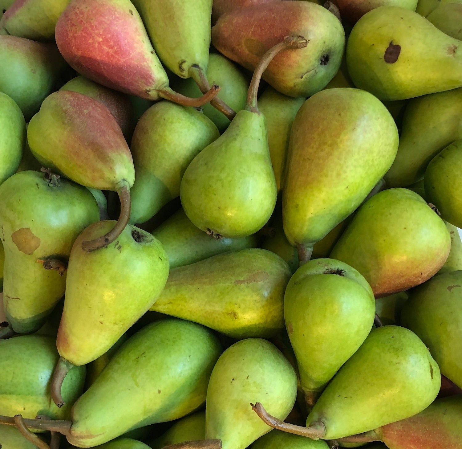 Pera Ercolina Ecológica | Supernormal